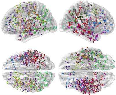 Frontiers | A comparison of uni- and multi-variate methods for identifying brain networks ...
